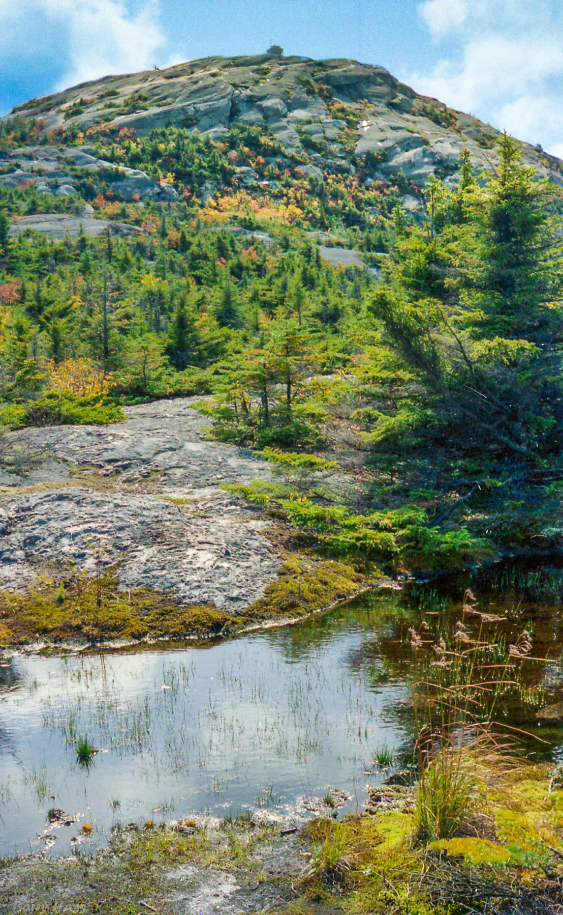 Cardigan Mountain – Photos by Barry Hass